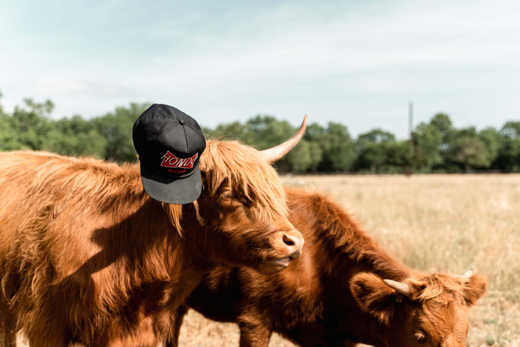 Heritage – HondoHatCo